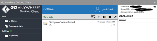 Getting Started with GoDrive